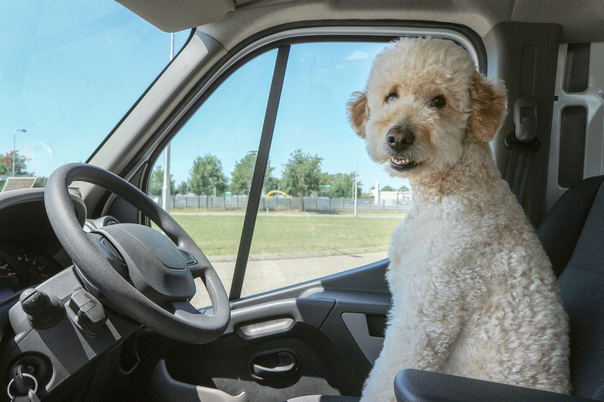 UK Driving Laws You Might Not Know About | Jurni