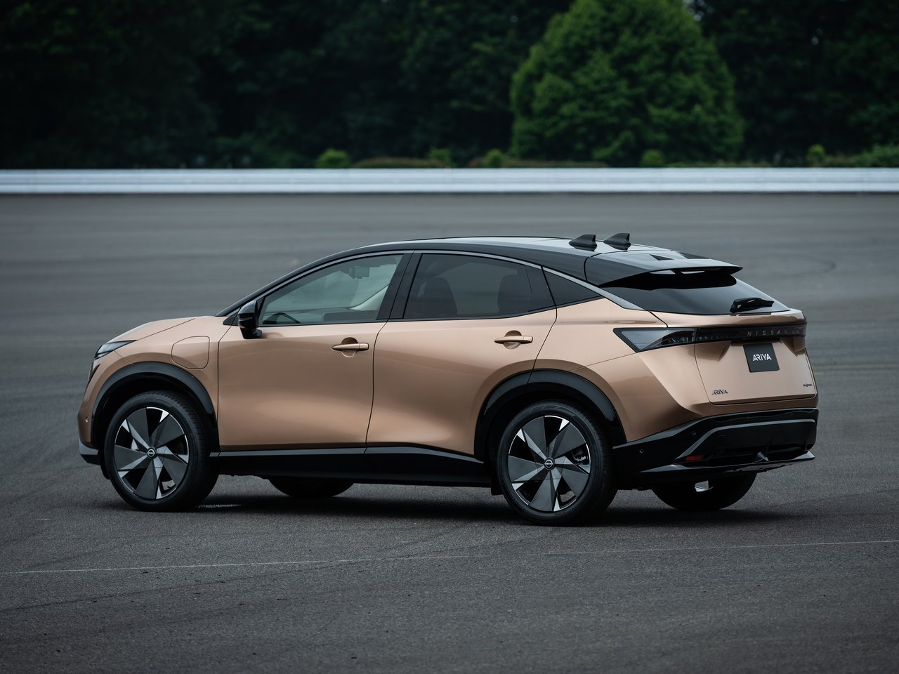 New Nissan Ariya | Jurni
