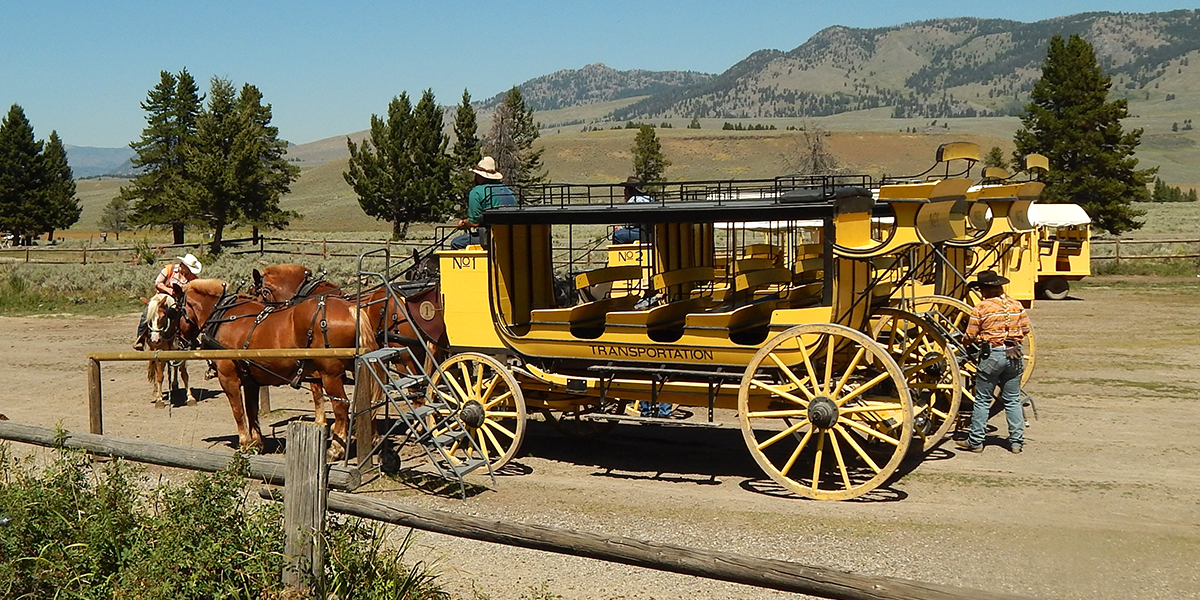 Why do we call ‘shotgun’ to get the front seat? | Jurni