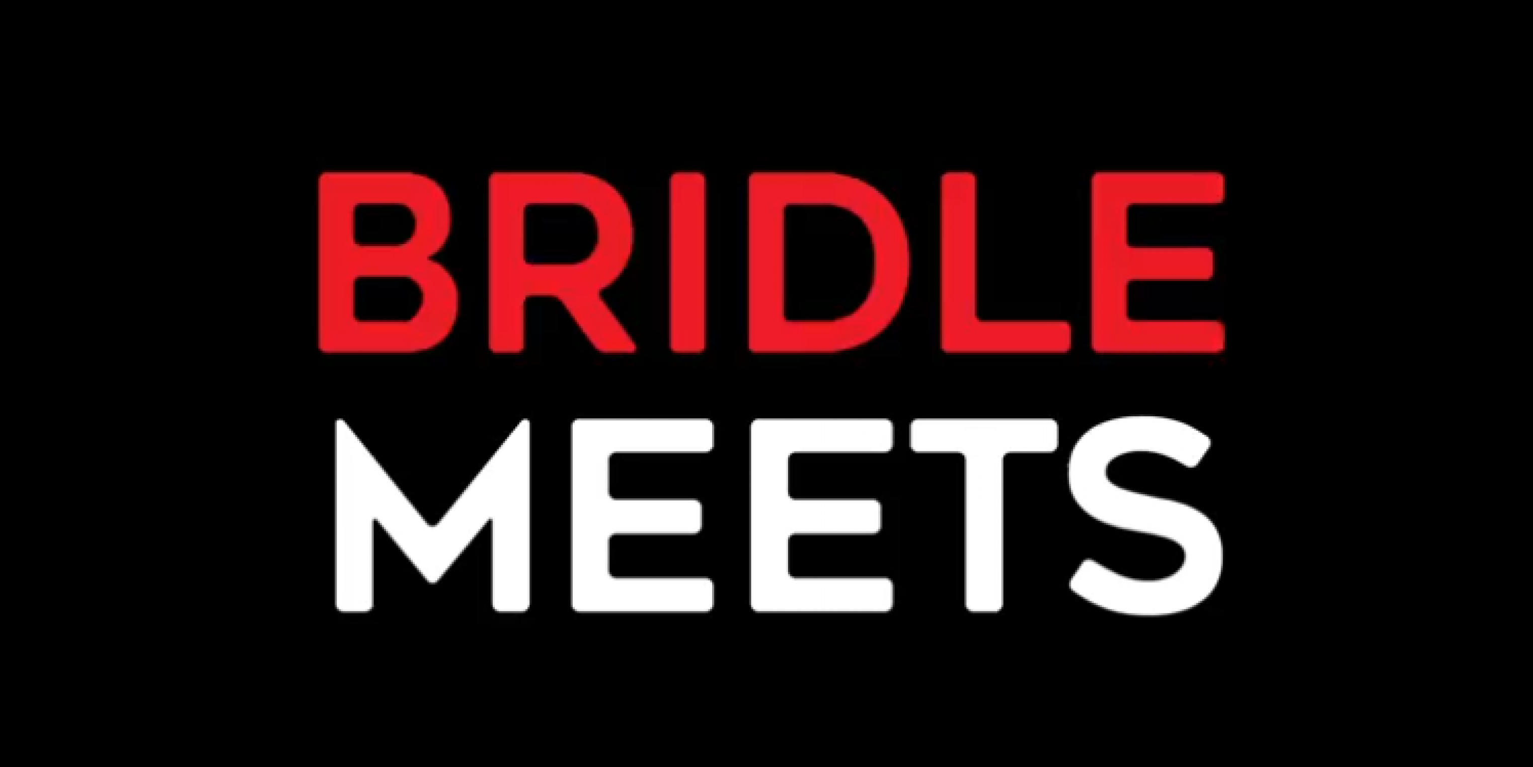 Local MP Meets With Bridle Vehicle Leasing To Talk Hybrid and Electric ...